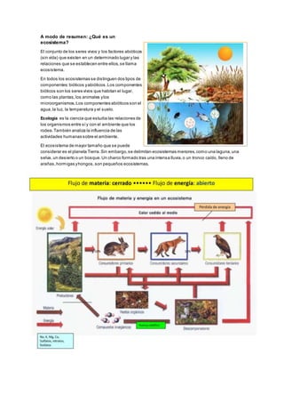 Organismos y medio ambiente | DOCX