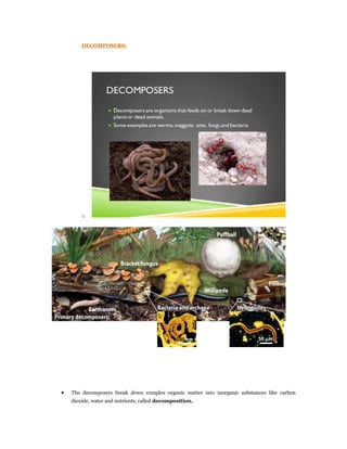 Organisms and Environment - Part I | DOC