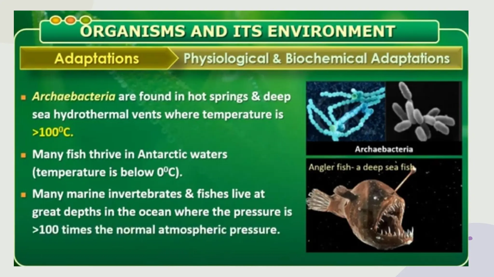 organisms and population cbse part 1.pptx