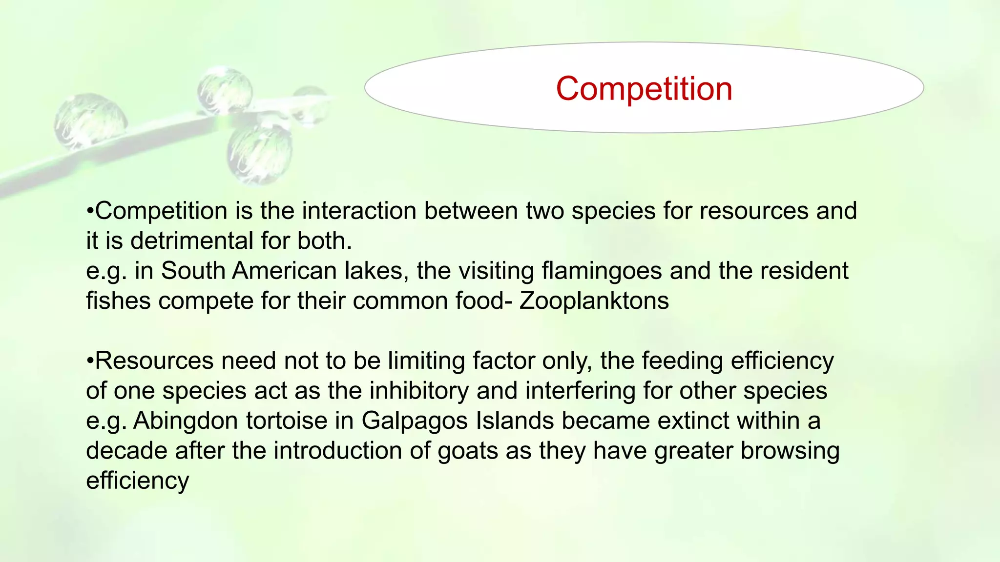 Organisms and populations | PPTX | Gardening | Home & Garden