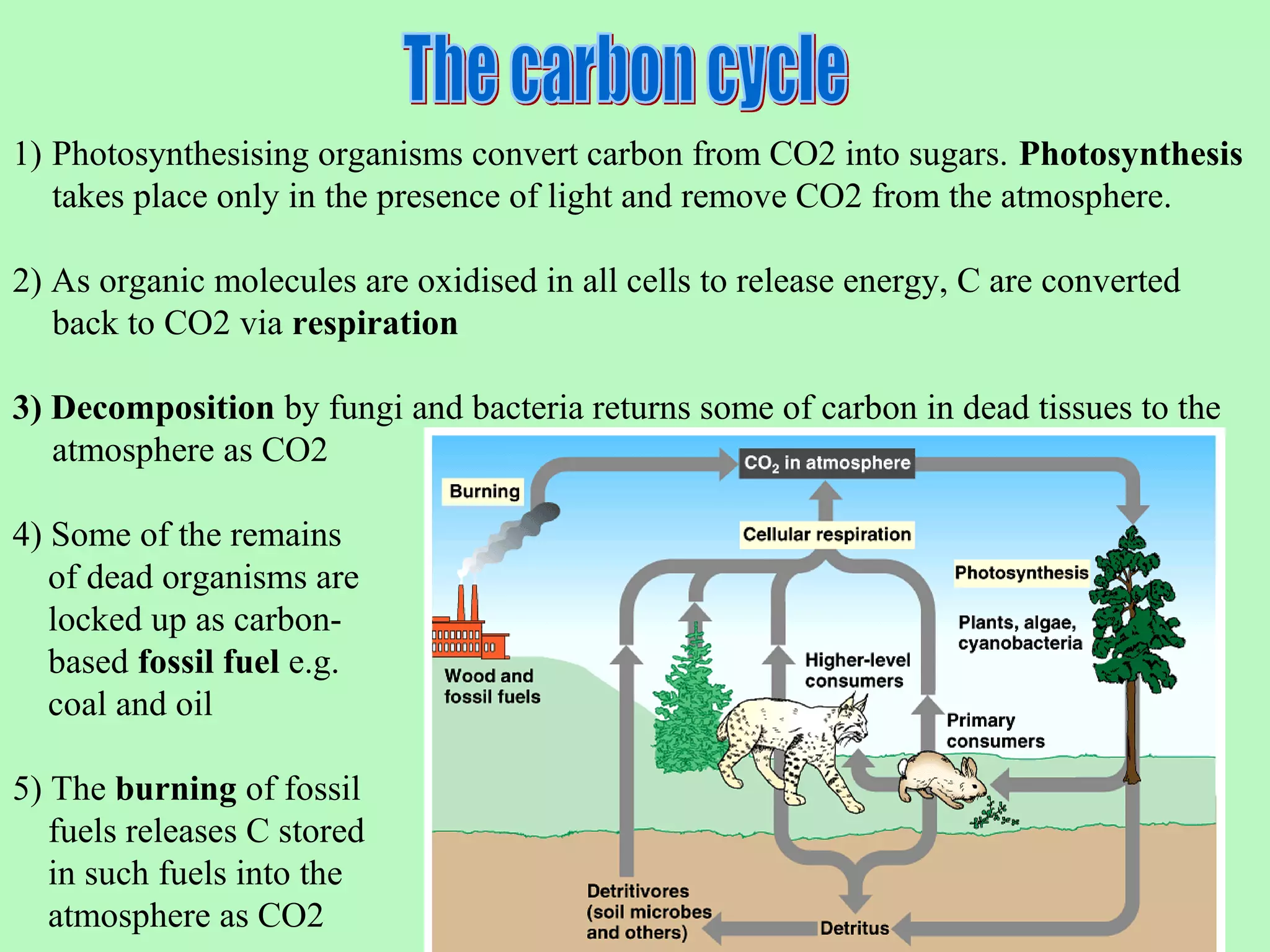 Organisms and their environments | PPT