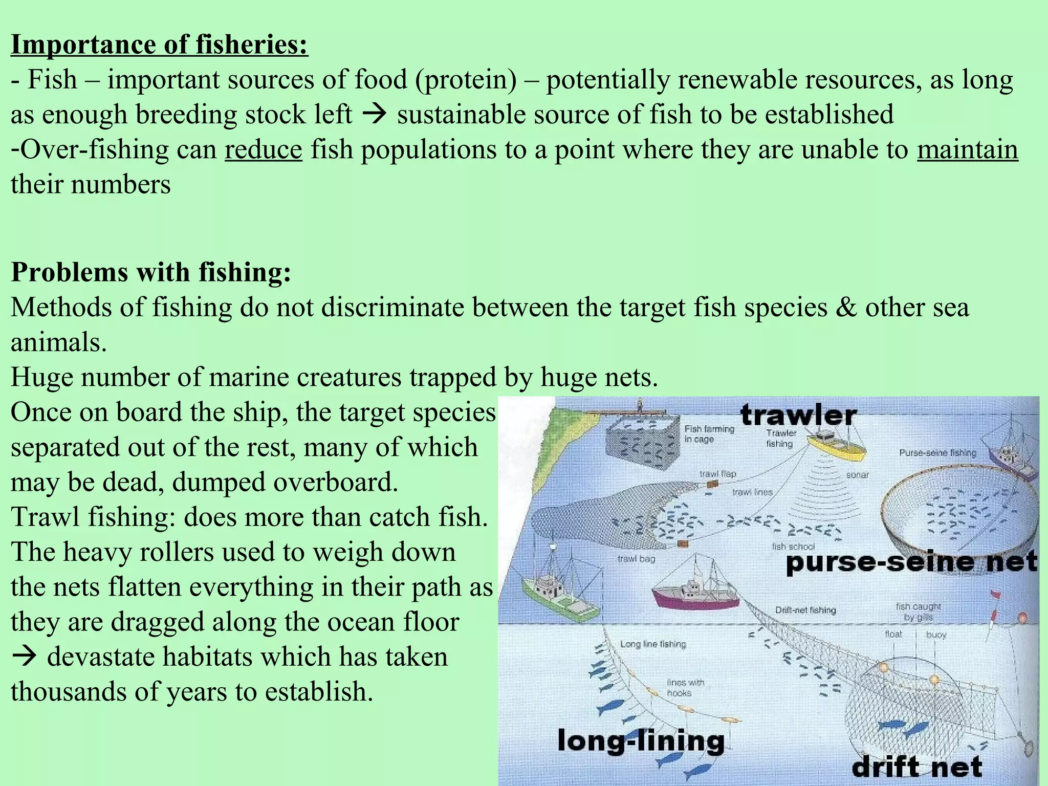 Organisms and their environments | PPT