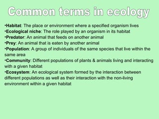 Organisms and their environments | PPT