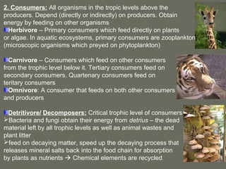 Organisms and their environments | PPT