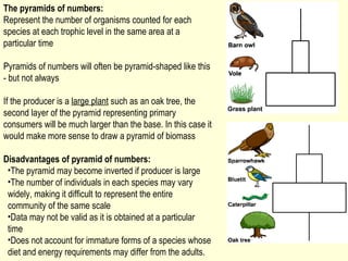 Diversity & Evolution - Organisms and their environment | PPT