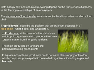 Diversity & Evolution - Organisms and their environment | PPT