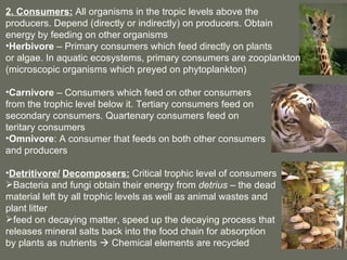 Diversity & Evolution - Organisms and their environment | PPT
