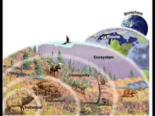 Organisms and their environment | PPTX