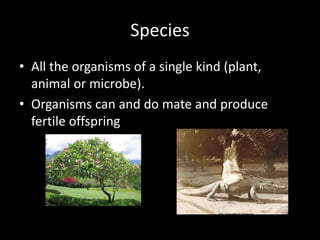 Organisms and their environment | PPTX