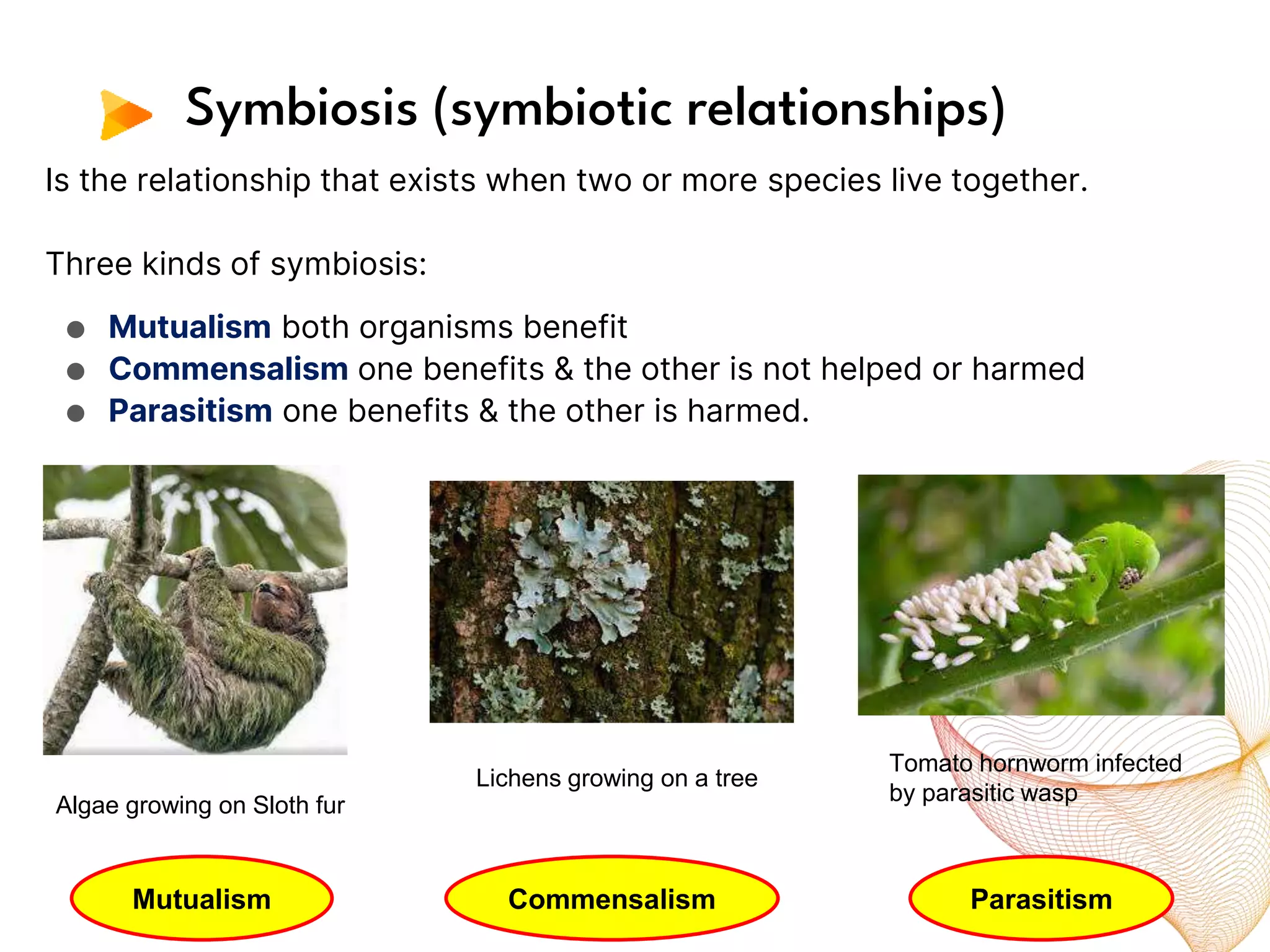 Organisms and their relationships.pptx