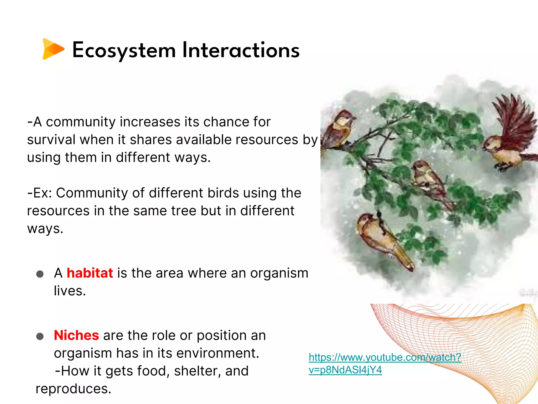 Organisms and their relationships.pptx