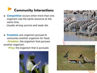 Organisms and their relationships.pptx