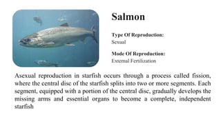 Organisms and their reproduction.pptx