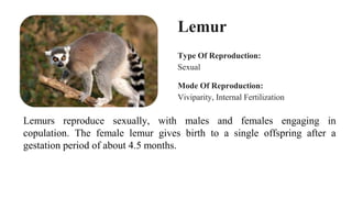 Organisms and their reproduction.pptx