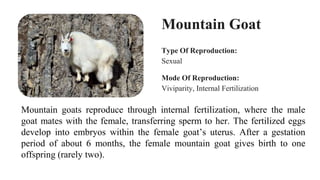 Organisms and their reproduction.pptx