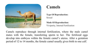 Organisms and their reproduction.pptx