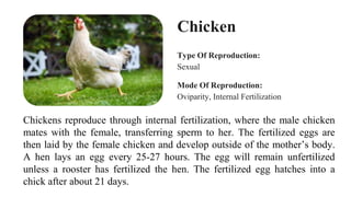 Organisms and their reproduction.pptx