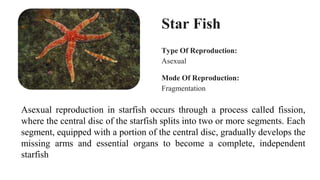Organisms and their reproduction.pptx