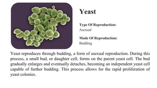 Organisms and their reproduction.pptx