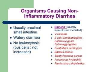 Organisms causing diarrhea & dysentery, shigella spp | PPT