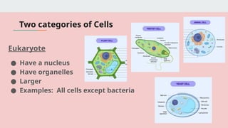 Organisms: Types of Cells in Body Systems | PPTX