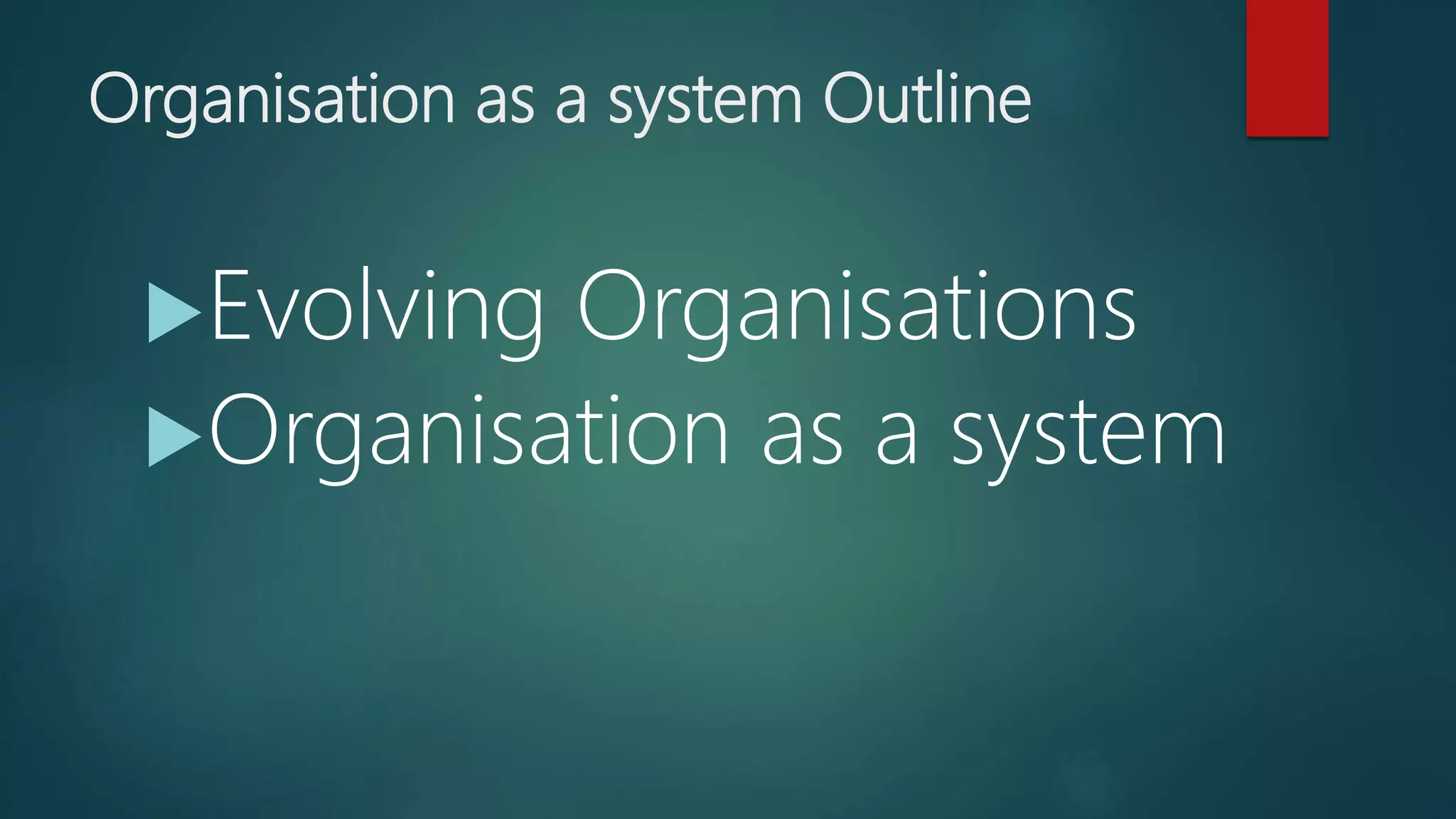 ORGANISTION AS A SYSTEM .pptx