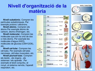 Organització del cos humà 3r eso | PPT