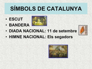 Organitzacio politica de catalunya | POTX