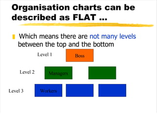 Organizzare un Business - 2. Organizzazioni piatte e verticali: pro e ...