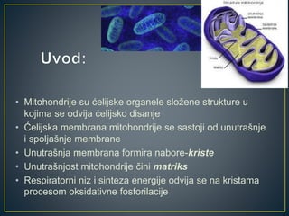 Organizacija respiratornog lanca u mitohondrijama | PPTX