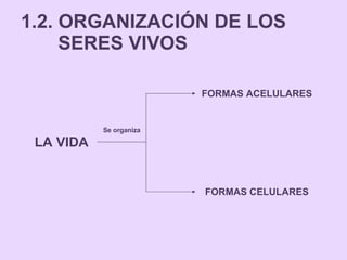 Organización de la vida | PPS