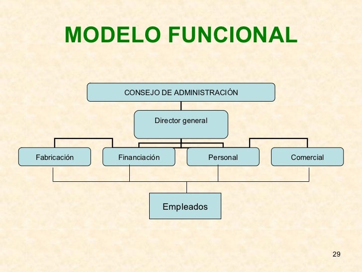 Organización interna