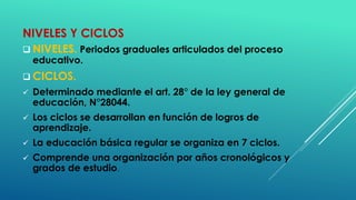Organización de la educación básica regular en el perú | PDF