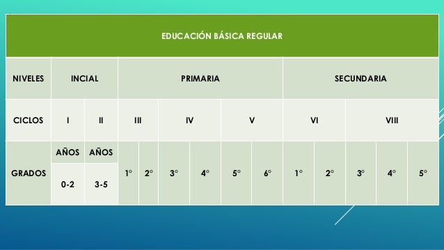 Organización de la educación básica regular en el perú