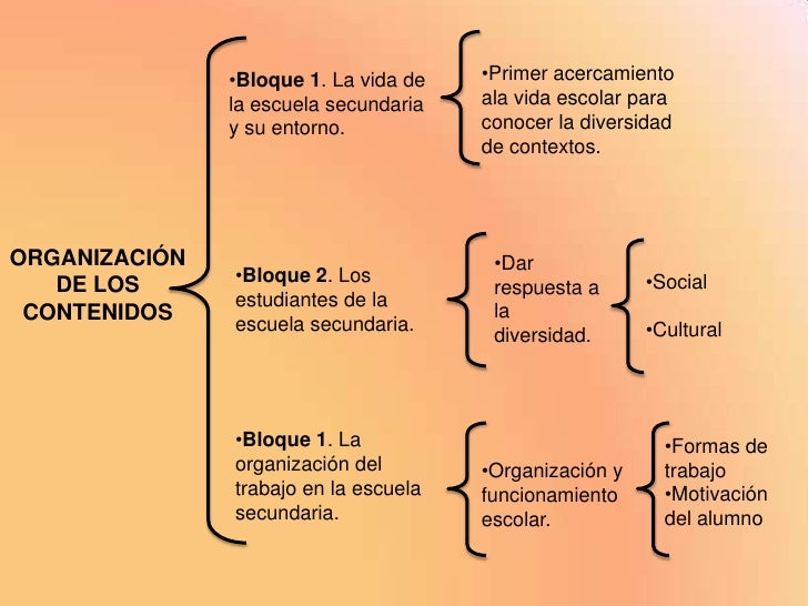 Organización de los contenidos Organización de los contenidos