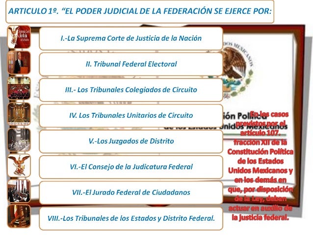 Organización del poder judicial