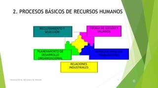 Organización del área de personal | PDF
