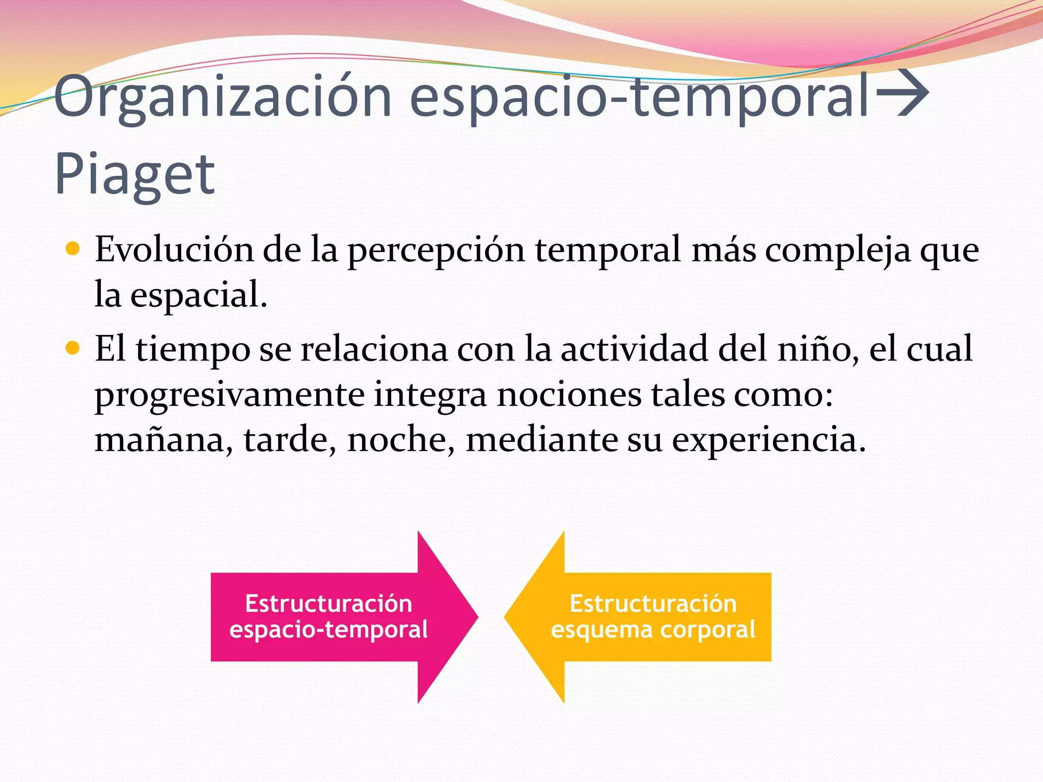 Organización espacial y espacio temporal | PPTX