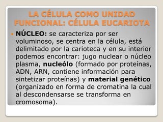Organización, estructura y actividad celular | PPTX