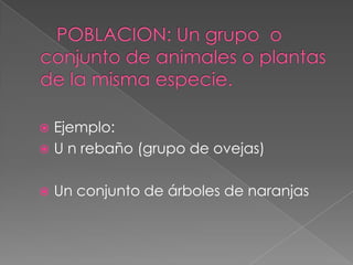 Organización Externa De Los Seres Vivos Pptx