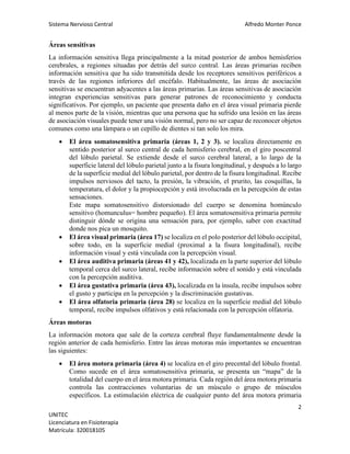 ORGANIZACIÓN FUNCIONAL DE LA CORTEZA CEREBRAL.pdf