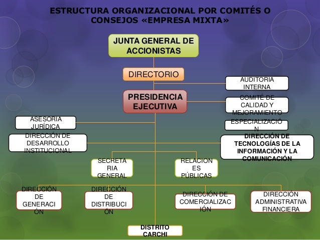 Organización por comités y consejos