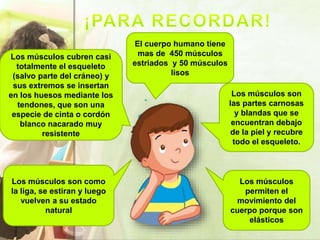 Organizacion del cuerpo humano parte 1 | PPTX