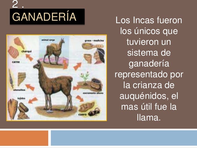 Organizacion economica del imperio incaico