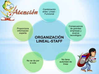 Organización Linea y Staff | PPTX