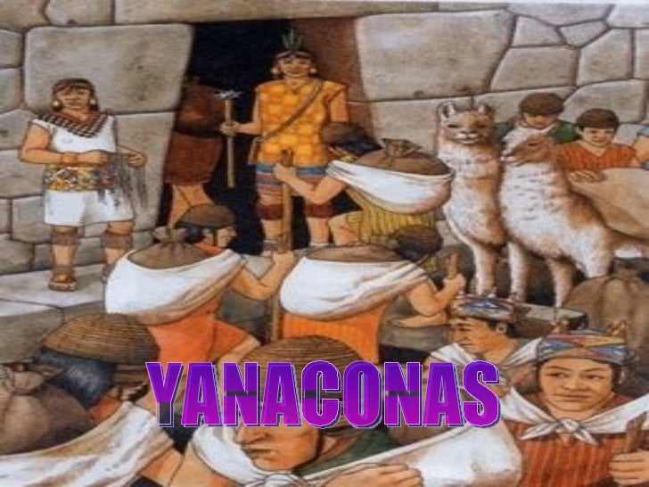 Organizacion Social De Los Incas