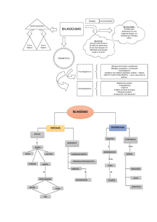 Organizadores graficos de lengua y literatura fase 4 abc | PDF