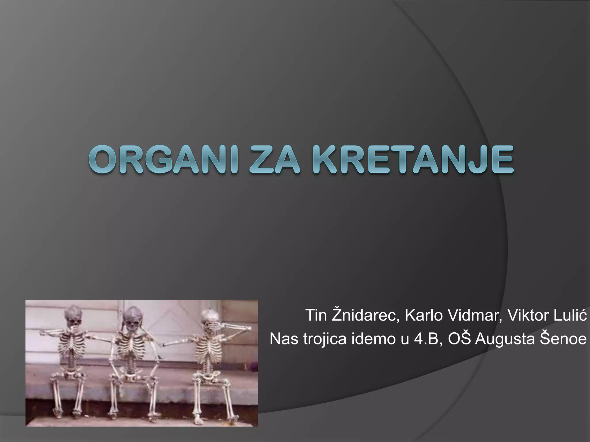Organi za kretanje | PPTX