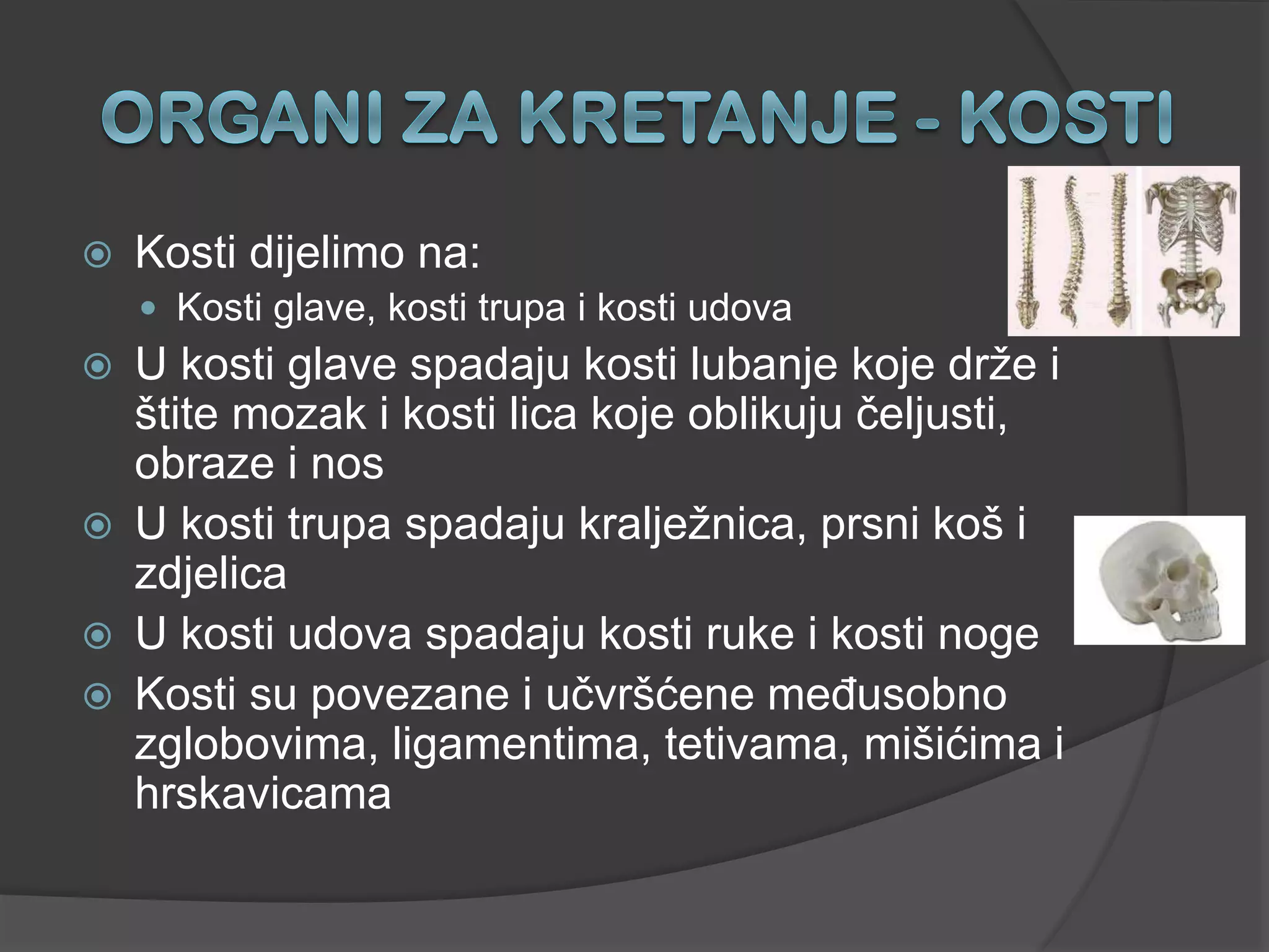 Organi za kretanje | PPTX