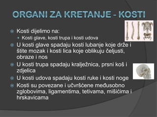 Organi za kretanje | PPTX